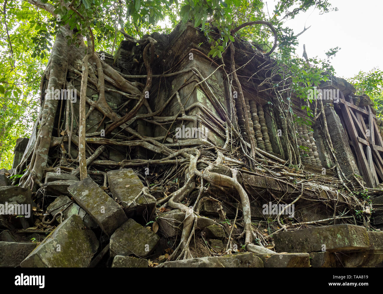Ruins of ancient Beng Mealea Temple over jungle, Cambodia. Beng Mealea ...