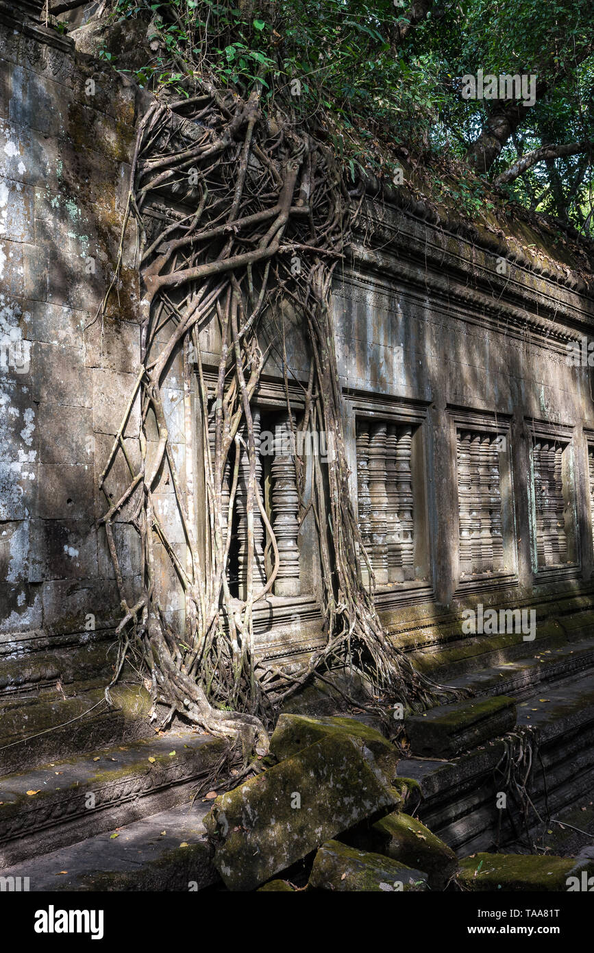 Ruins of ancient Beng Mealea Temple over jungle, Cambodia. Beng Mealea ...