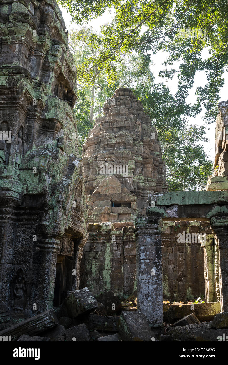 Ta Prohm , Angkor , Cambodia, was inscribed on the UNESCO-WHL 1992. The ...