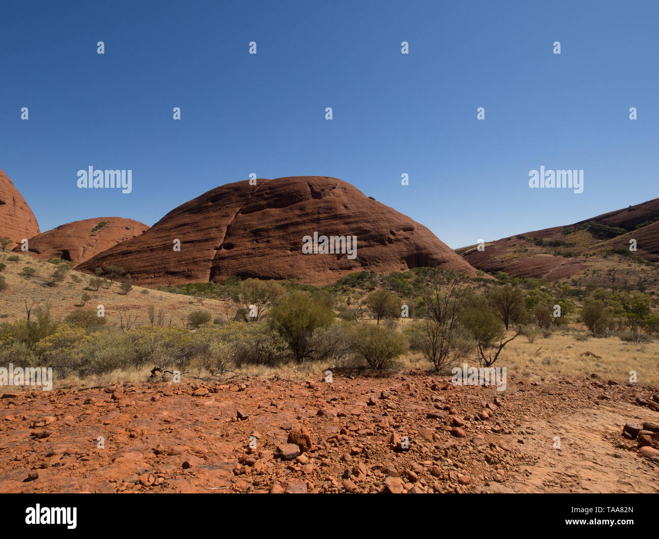 The rocks of Kata Tjuta/the Olgas viewed from ground level in Australia ...