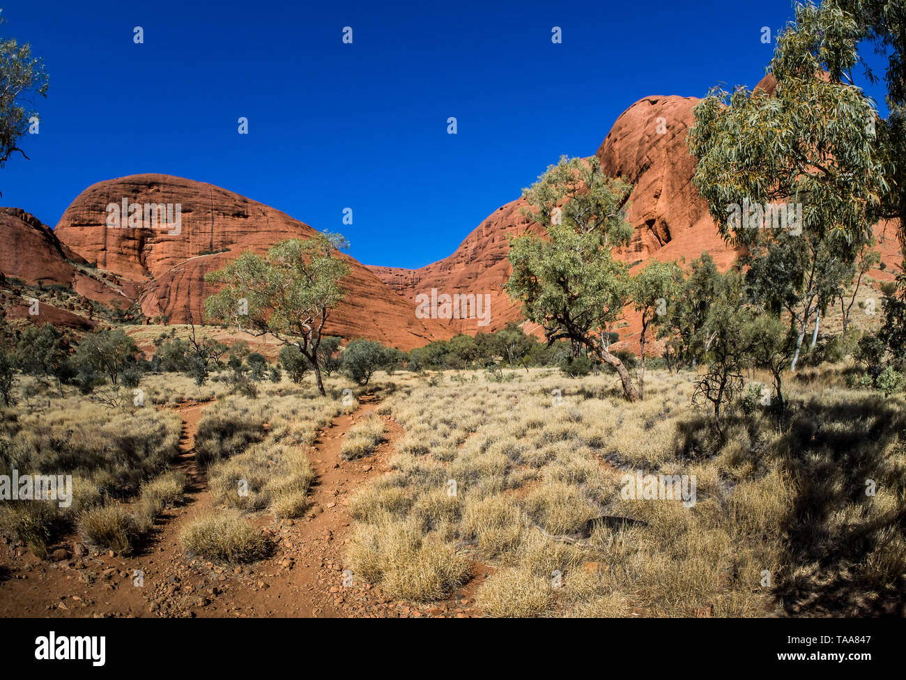 The rocks of Kata Tjuta/the Olgas viewed from ground level in Australia ...