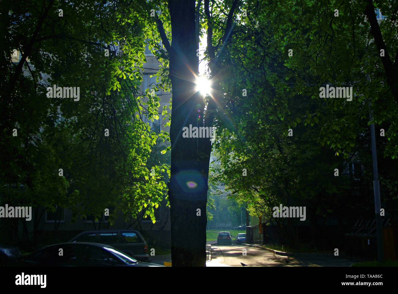 Moscow suburbs house hi-res stock photography and images - Alamy
