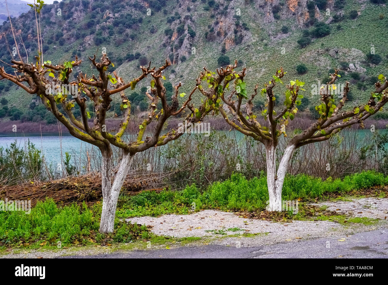 Agricultural landscape crete island hi-res stock photography and images ...