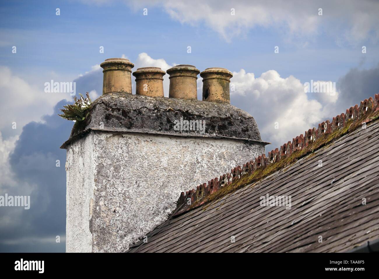 Chimneys on an old roof in Ivybridge, Devon, England, a typical row of ...