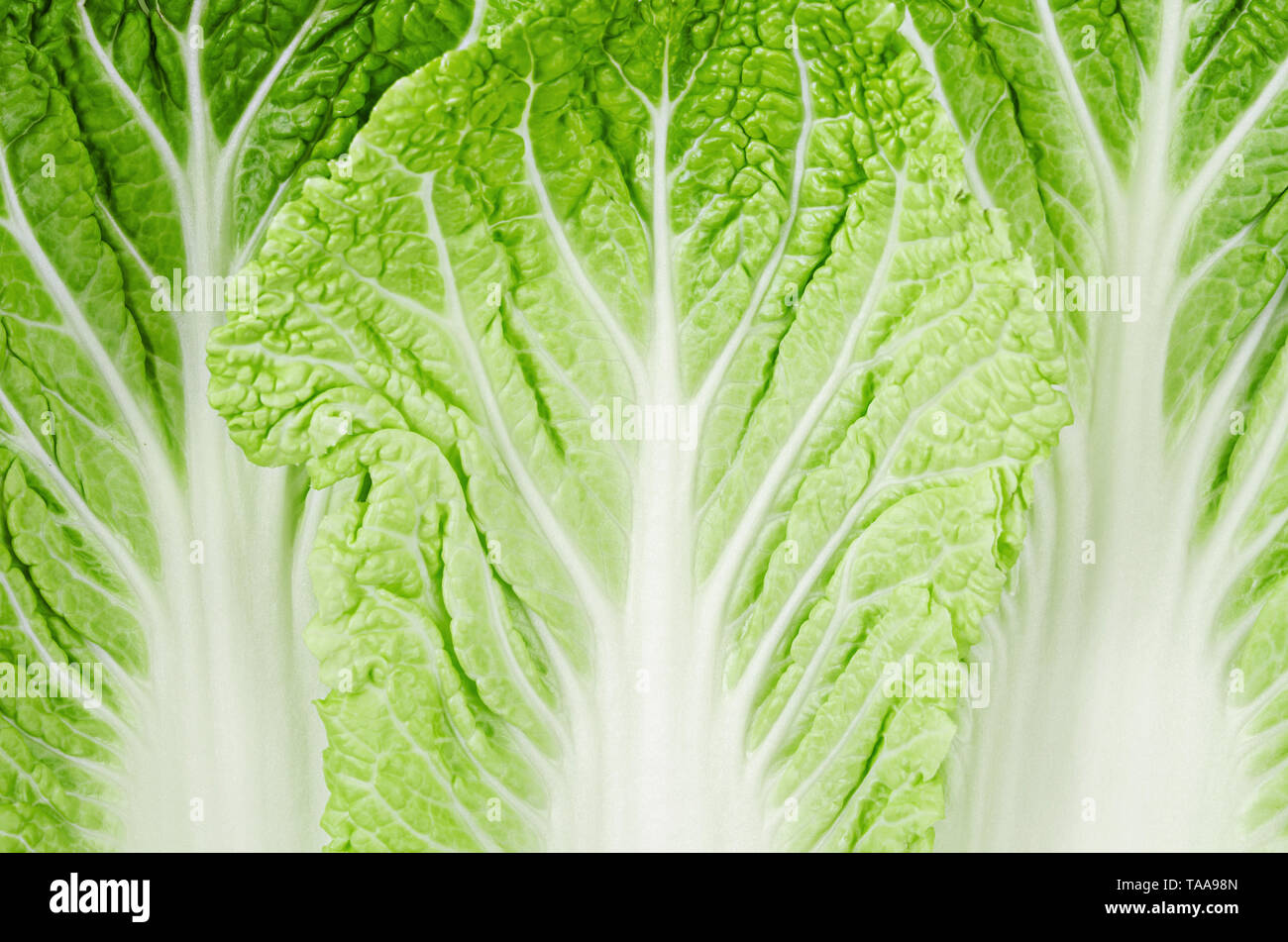 Close up texture fresh chinese cabbage as background Stock Photo - Alamy