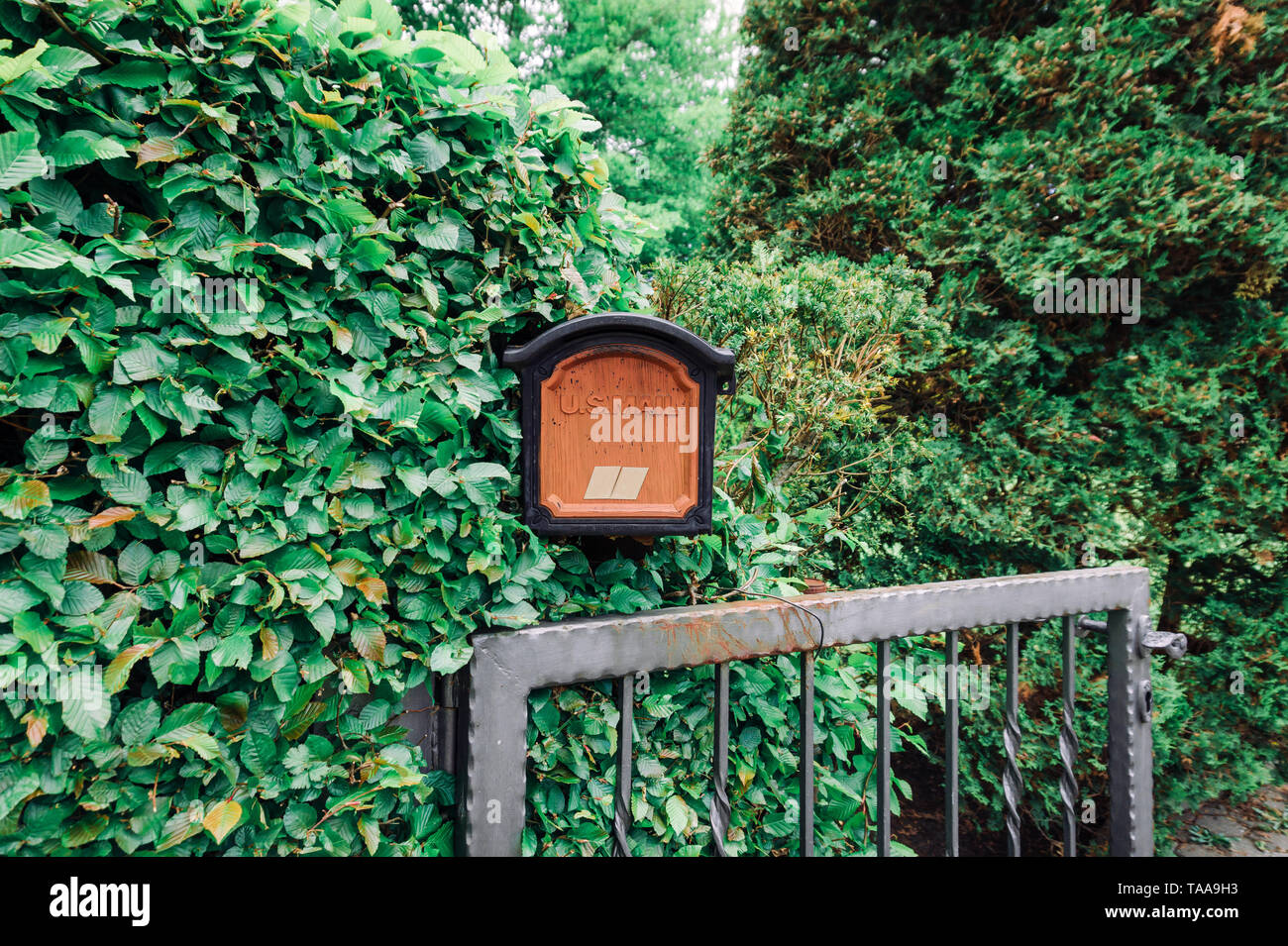 Orange mailbox on metal fence with green leaves background Stock Photo ...