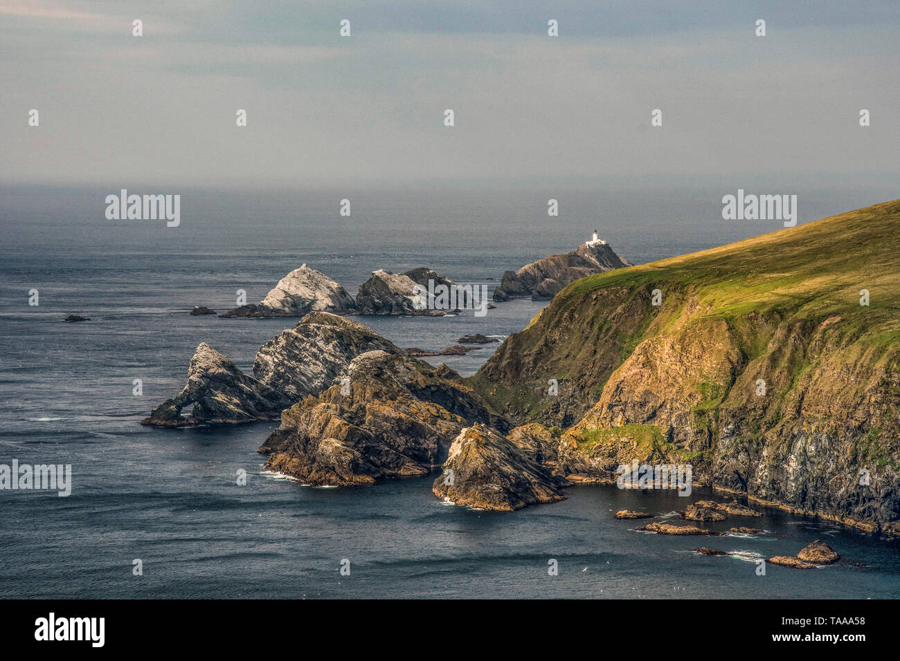 Scottish bird reserve hi-res stock photography and images - Alamy