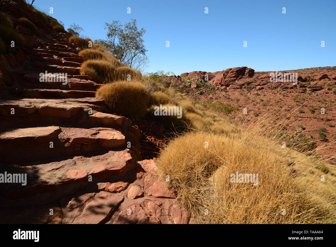 Rim walk pathway. Kings Canyon. Watarrka national park. Northern ...
