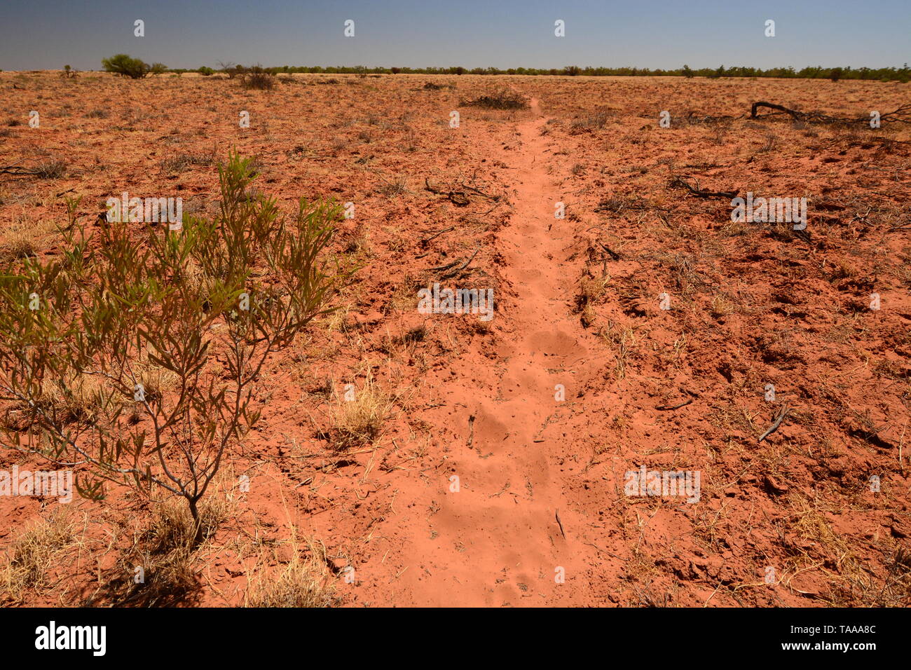 Outback landscape. Northern Territory. Australia Stock Photo - Alamy