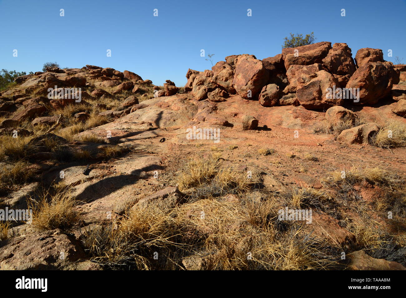 Outback landscape. Northern Territory. Australia Stock Photo - Alamy