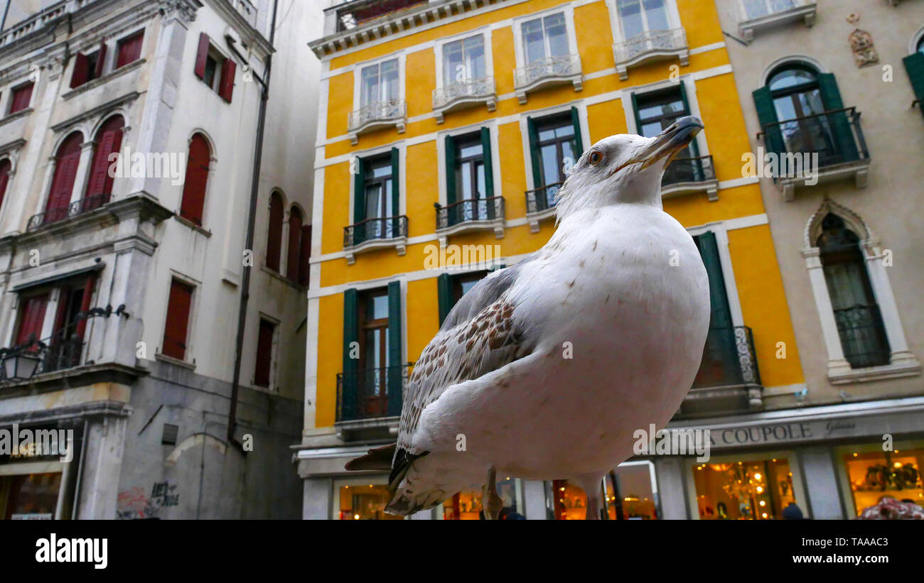 Vencia hi-res stock photography and images - Alamy