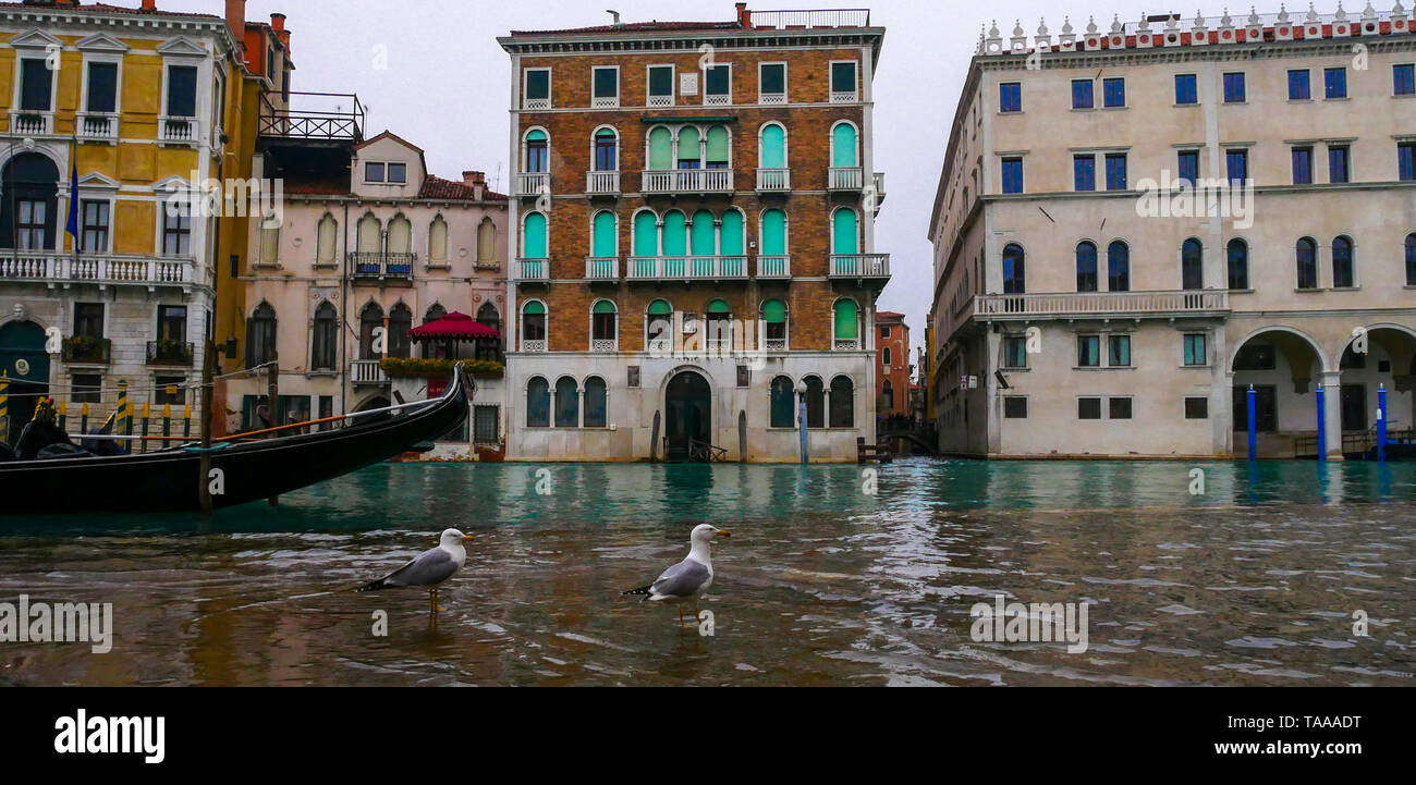 Vencia High Resolution Stock Photography and Images - Alamy