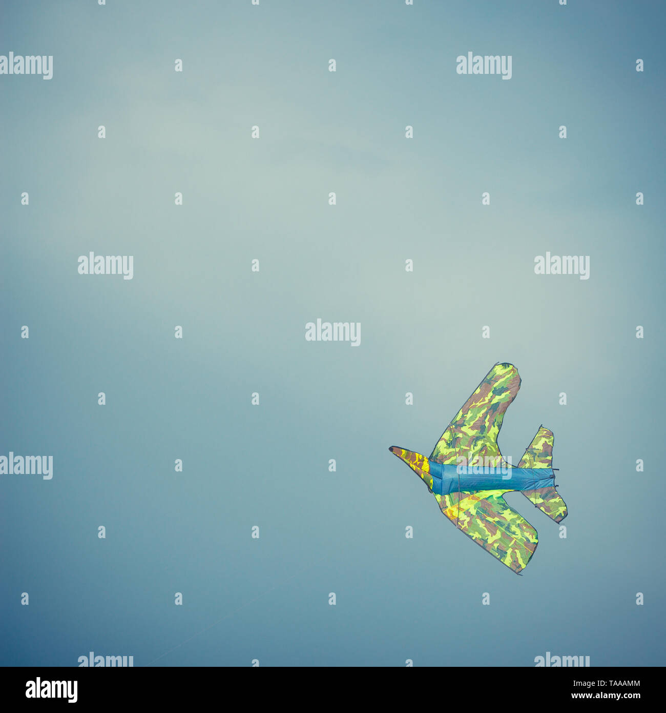 Air serpent in the sky. The simplest composition. Square cropping Stock ...