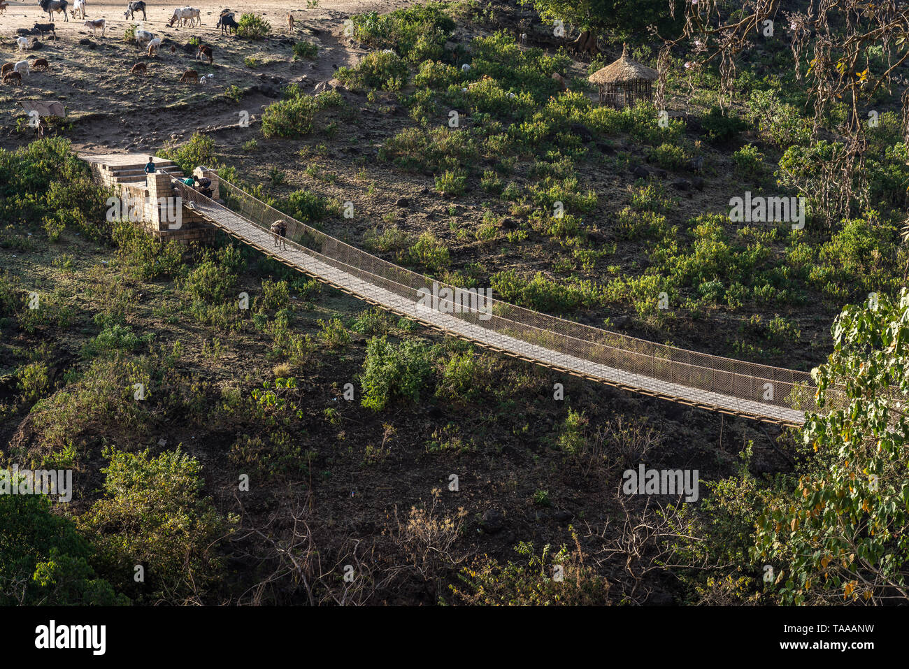 Hanging bridge over the Blue Nile near Tis Issat in Ethiopia Stock ...