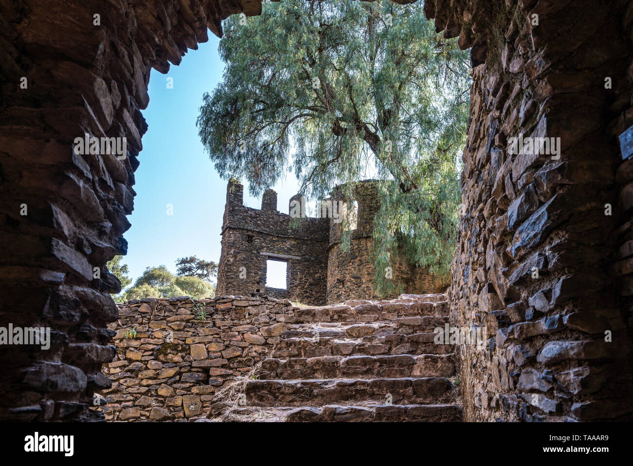 King emperor fasilidas hi-res stock photography and images - Alamy