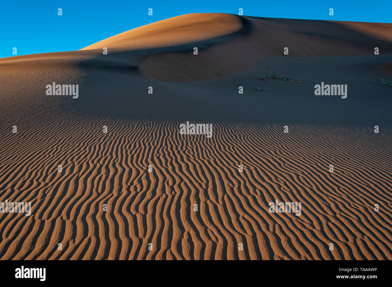 Dunes of the namib desert of Namibia Stock Photo - Alamy