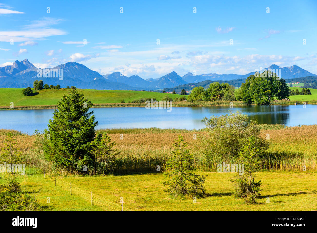 Nice small lake in eastern Allgäu near Trauchgau Stock Photo - Alamy