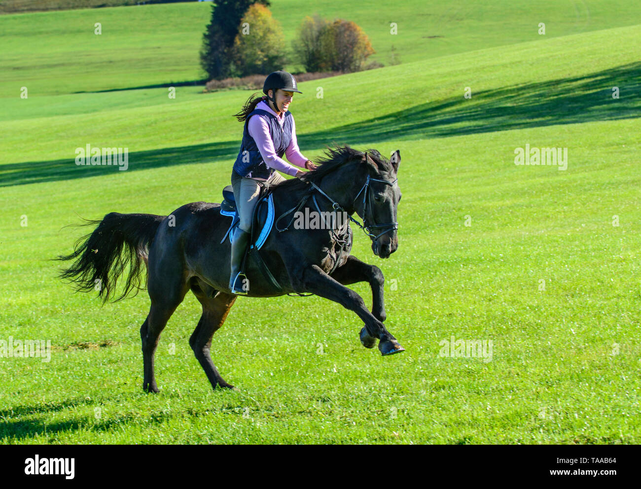 Galop hi-res stock photography and images - Alamy