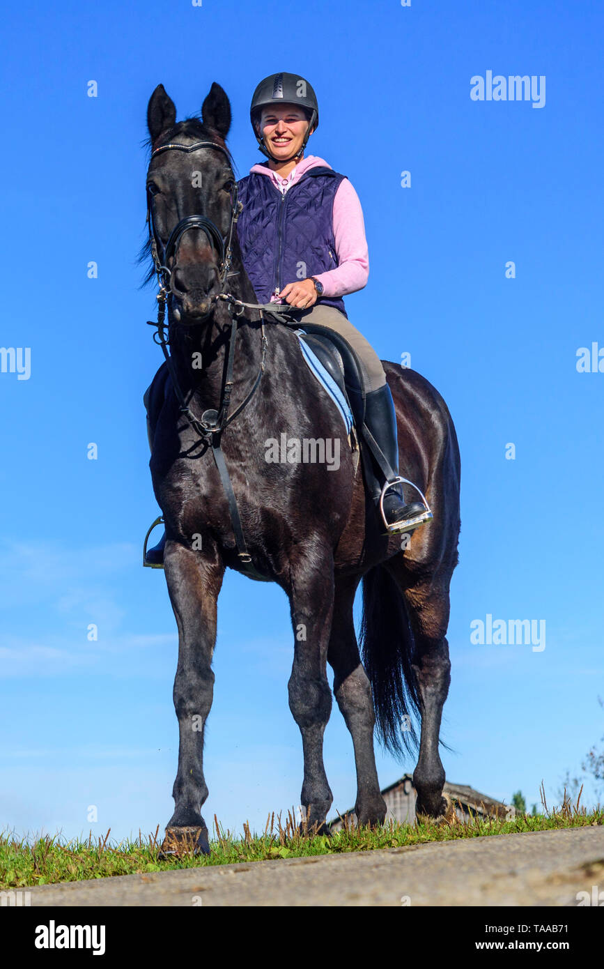 Good-humoured female rider on a sunny day with her black horse Stock ...