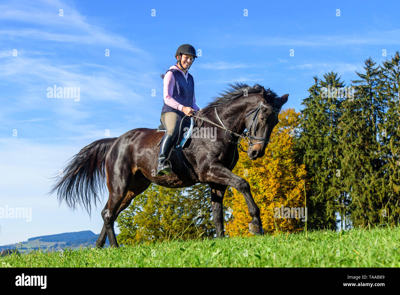 Galop hi-res stock photography and images - Alamy