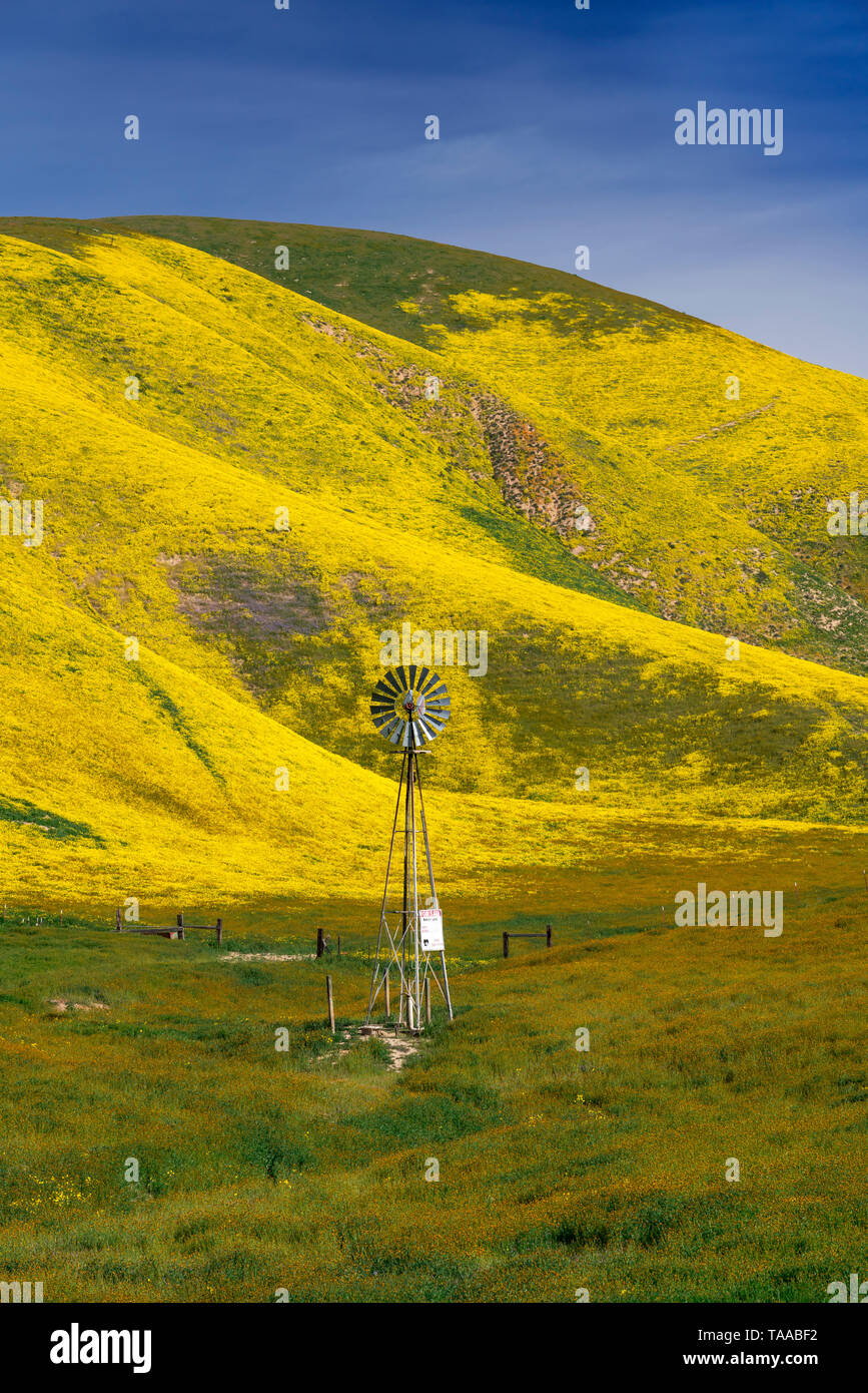 The Carizzo Plain National Monument with wildflowers of the 2019 ...
