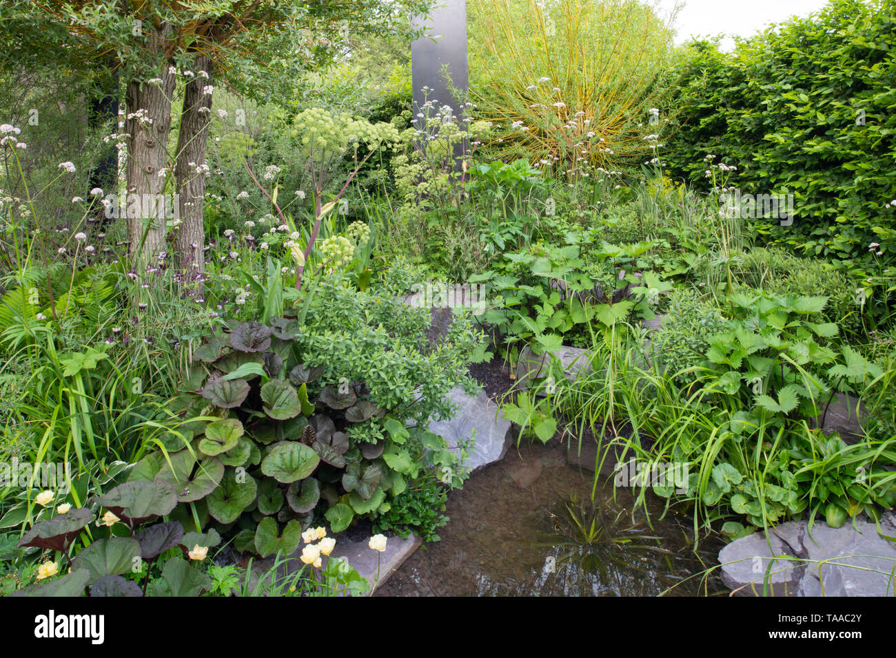 Viking Cruises: The Art of Viking Garden at the RHS Chelsea Flower Show ...