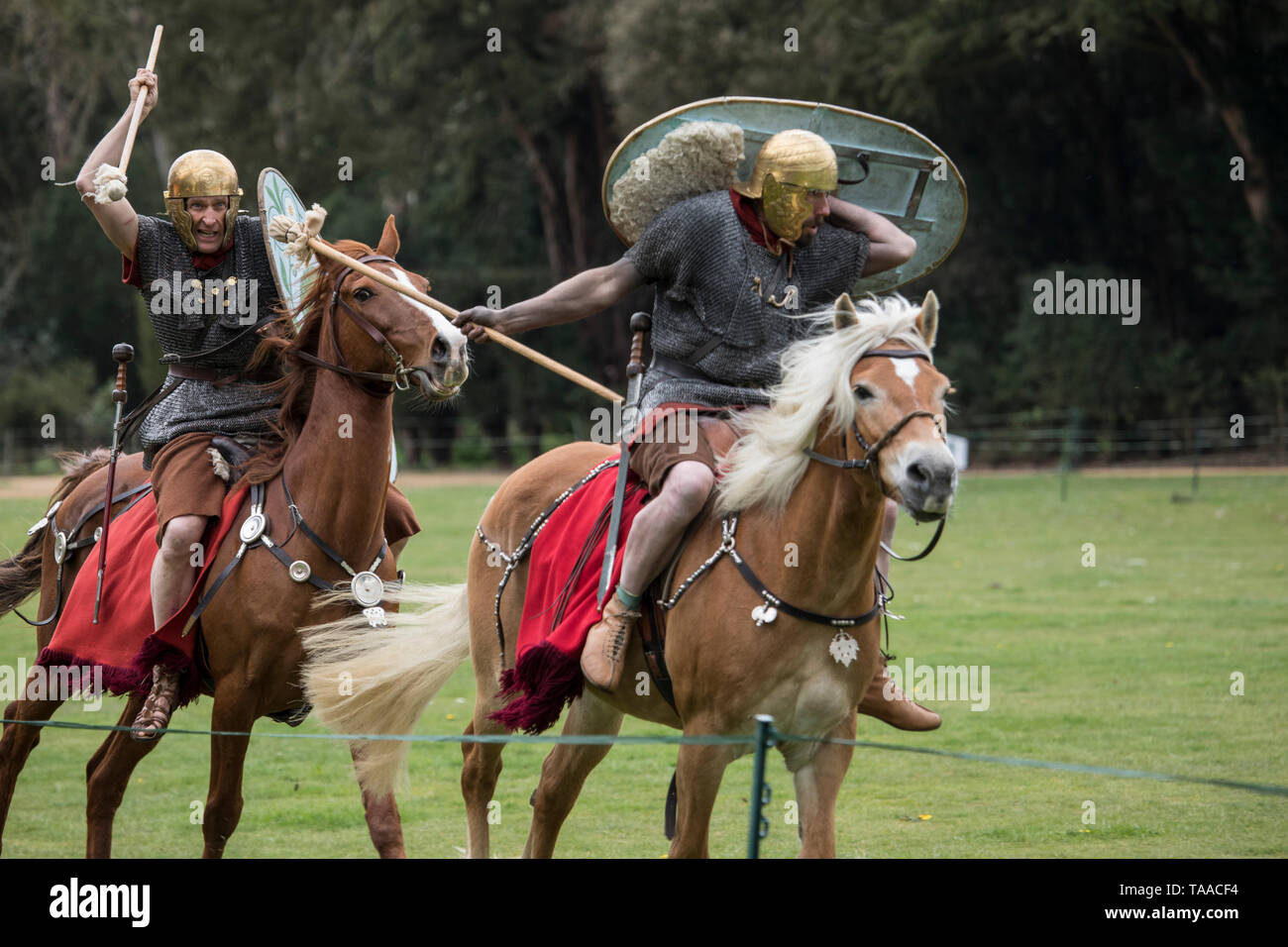 Horse guard costumes hi-res stock photography and images - Alamy