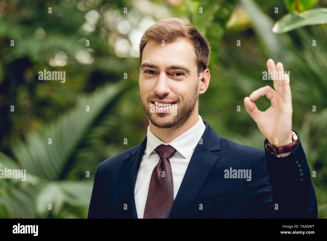 happy smiling businessman in suit and tie showing okay sign in orangery ...