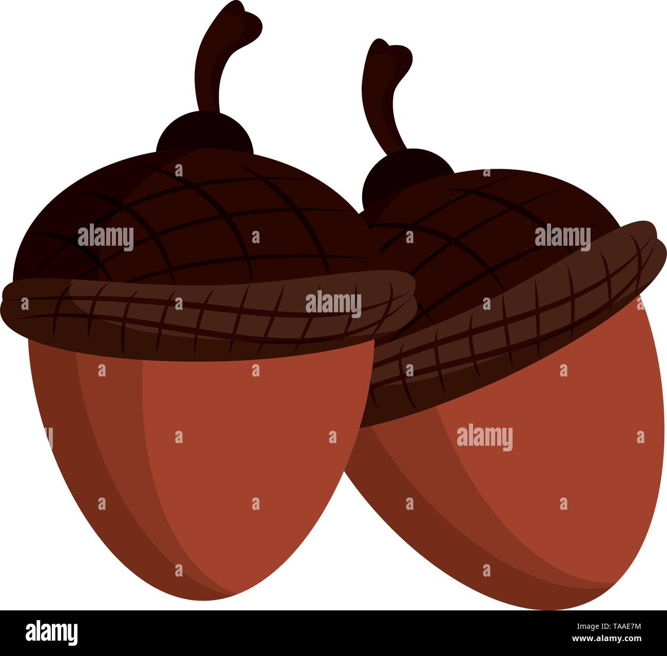 Two nuts almond snack cartoon Stock Vector Image & Art - Alamy