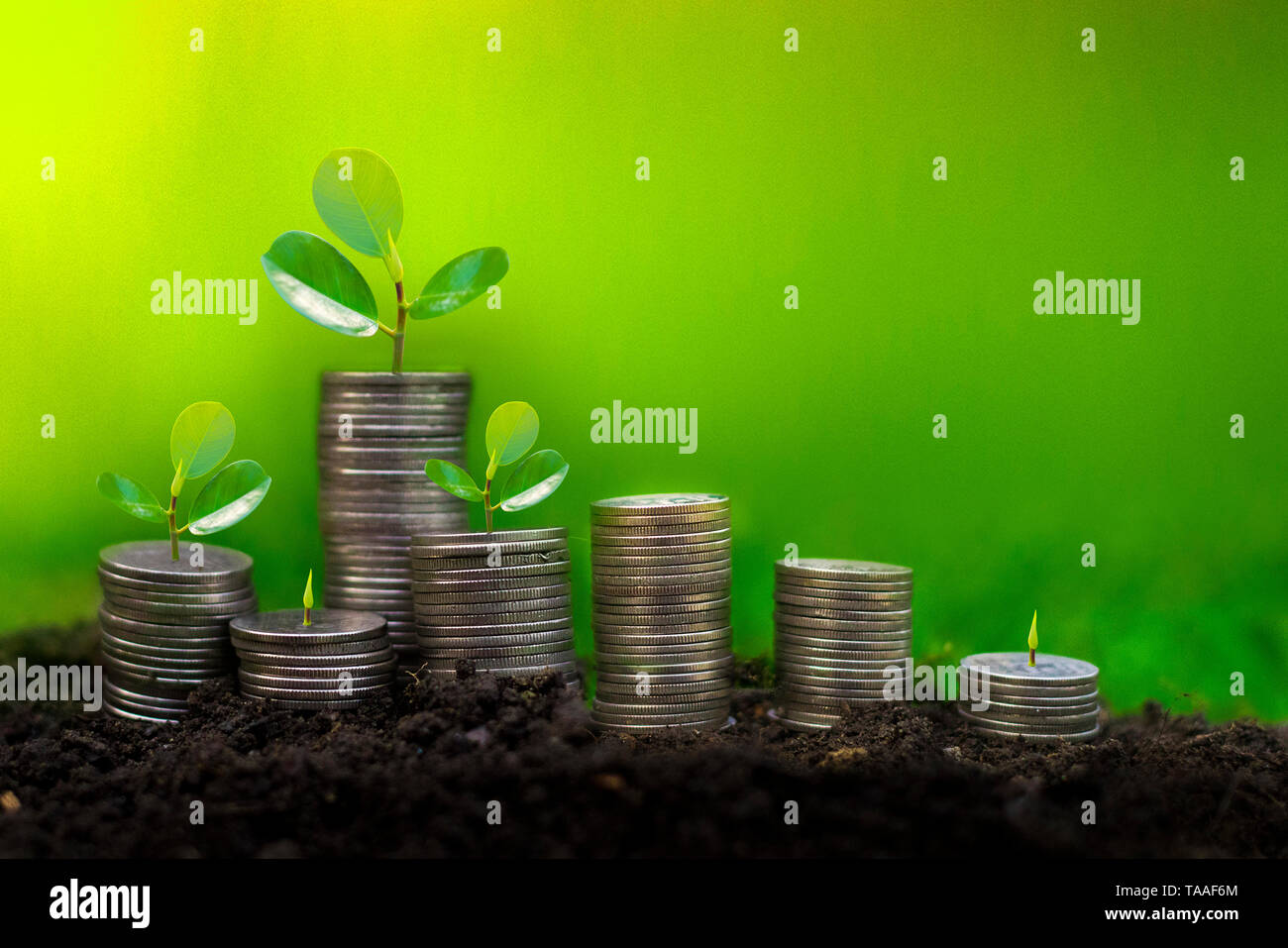 The money or the growth of the seed money as the growth of seedlings ...