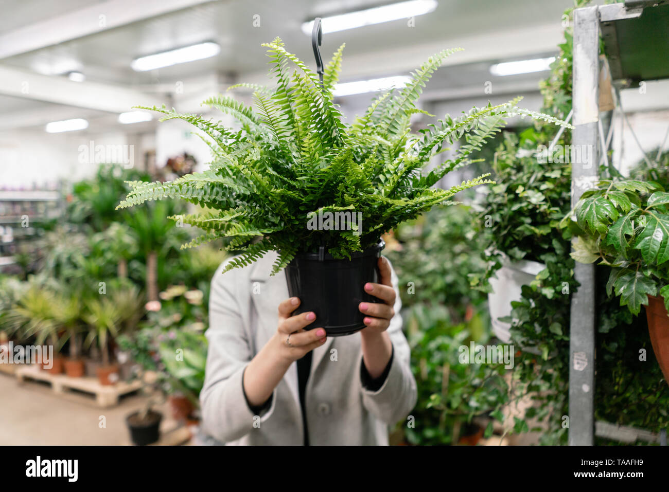 Hiding behind potted flowers hi-res stock photography and images - Alamy