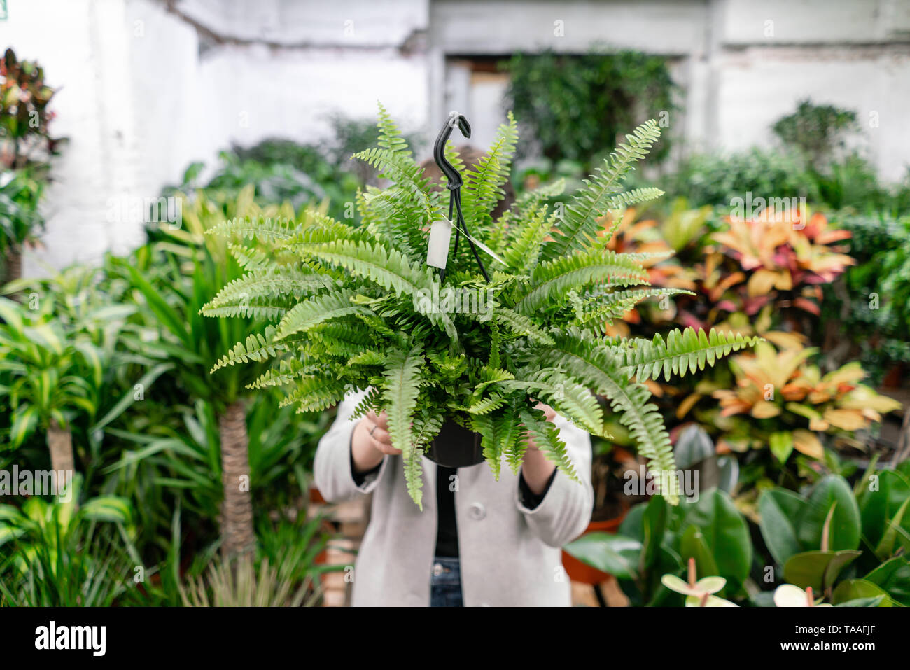 Hiding behind potted flowers hi-res stock photography and images - Alamy