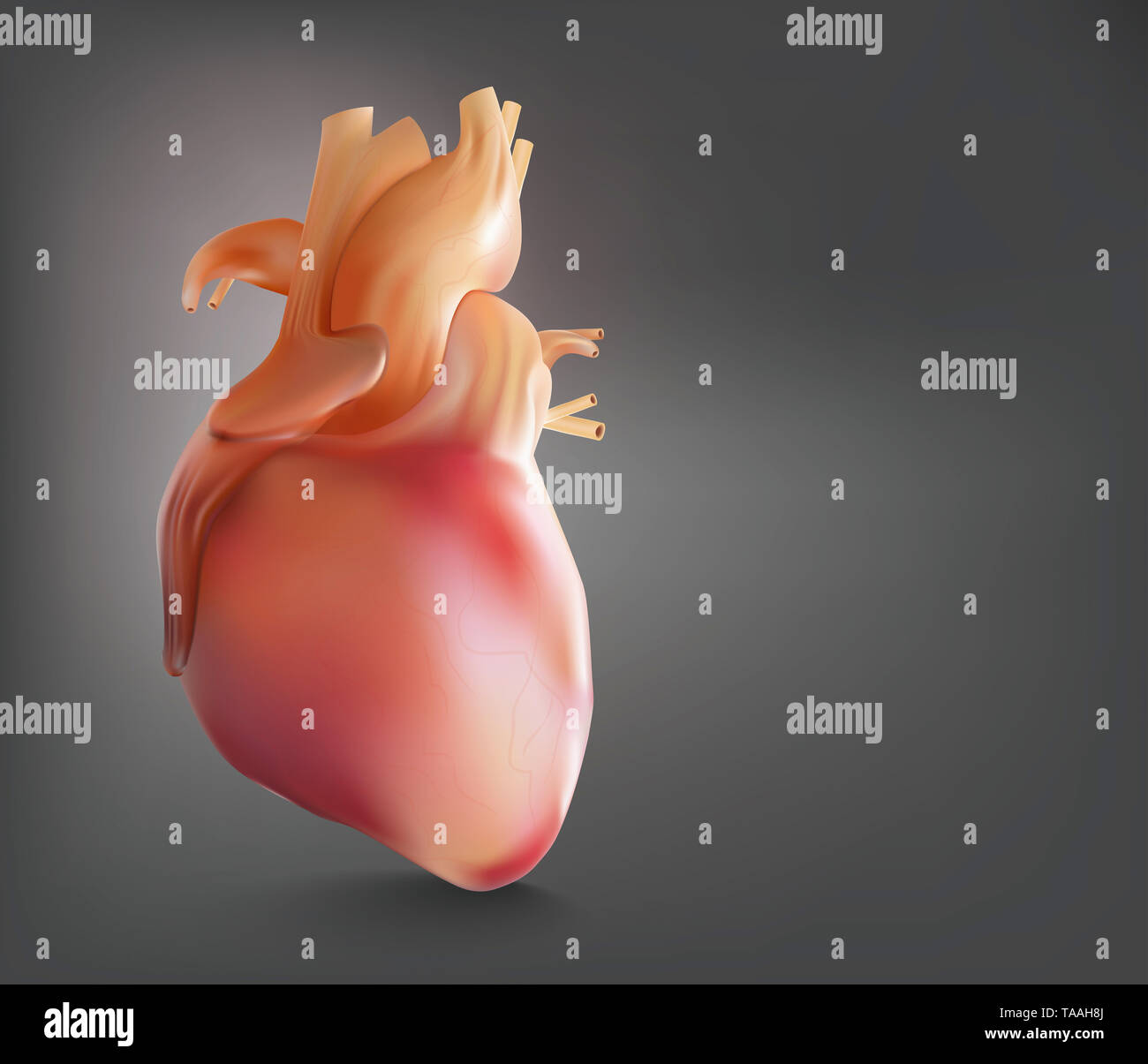 Human heart show powder is a 3D image Stock Photo - Alamy