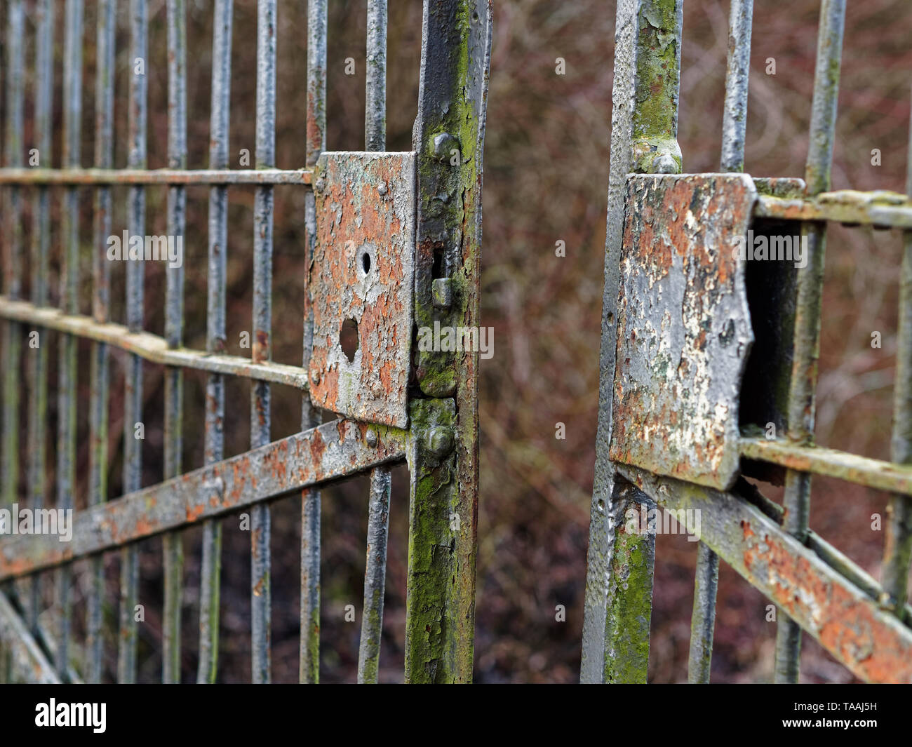 Broken old gate hi-res stock photography and images - Alamy