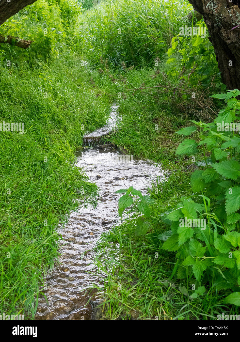 Holy well spring water uk hi-res stock photography and images - Alamy