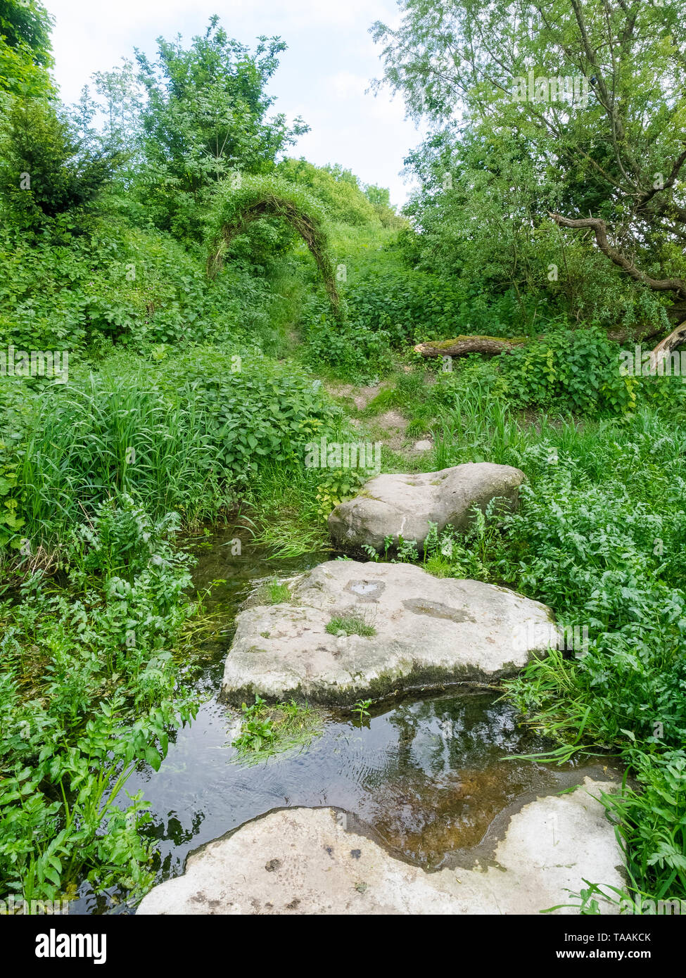 Magic springs hi-res stock photography and images - Alamy