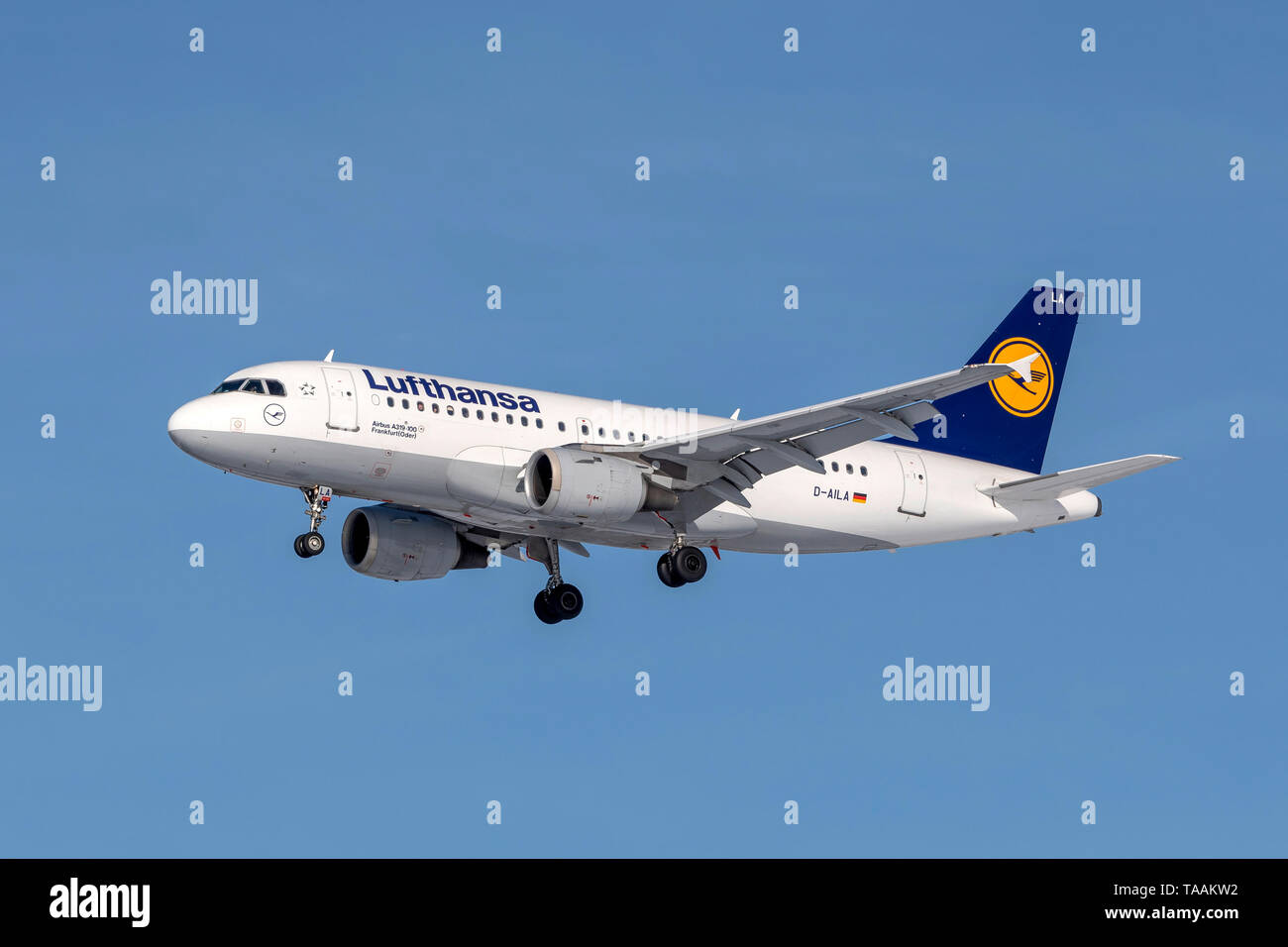 Aila hi-res stock photography and images - Alamy