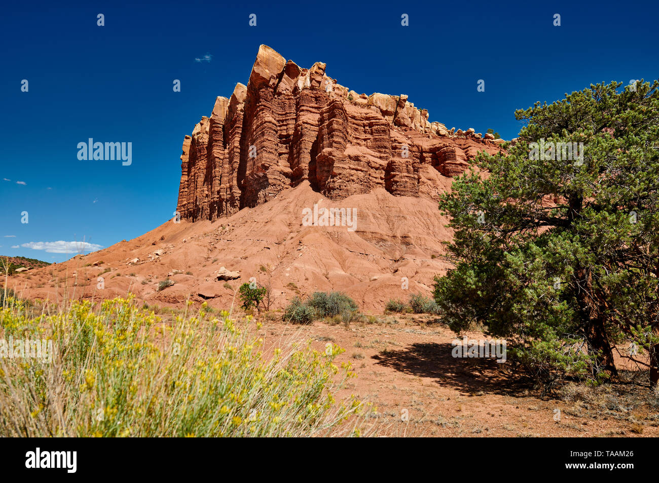 Capitol Reef National Park, Utah, USA, North America Stock Photo - Alamy