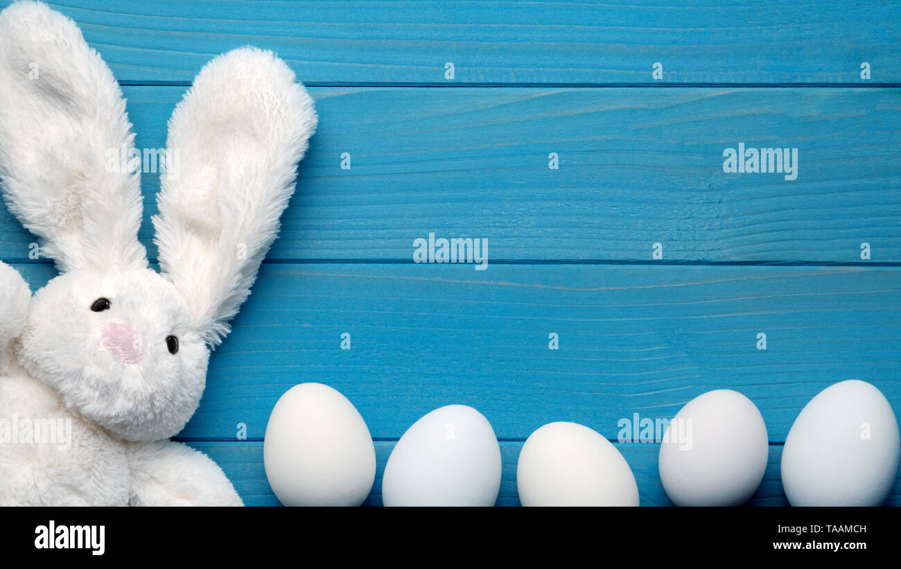 Blue bunny hi-res stock photography and images - Alamy