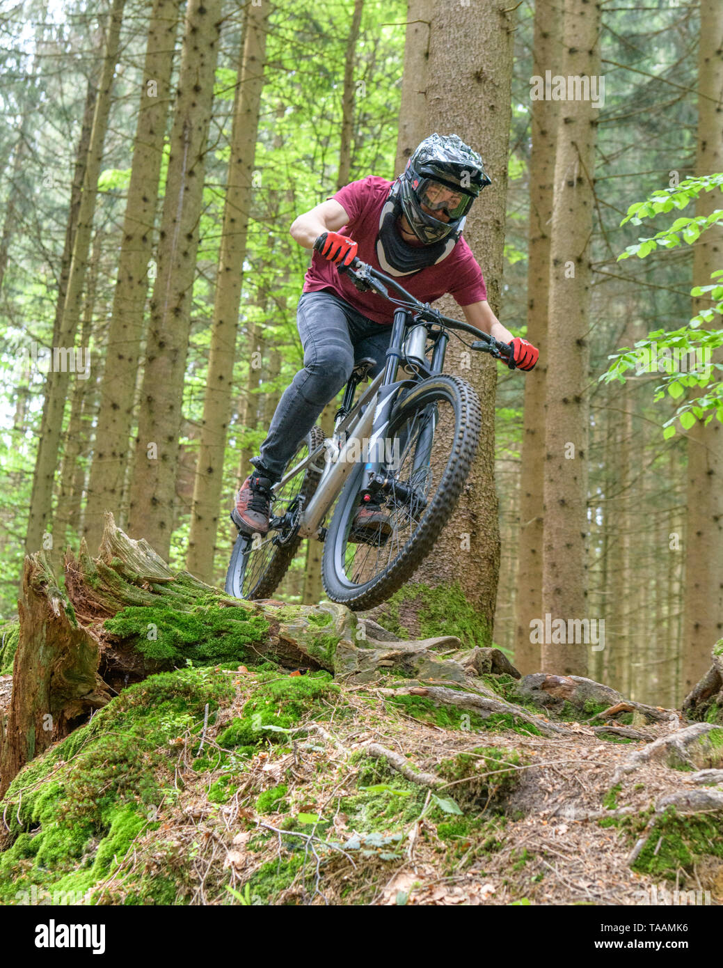 Mountainbike riders doing a courageous downhill on forest trails Stock ...