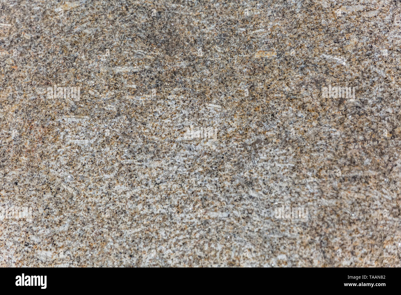 Detailed view of the typical texture of the granite stone, with detail ...