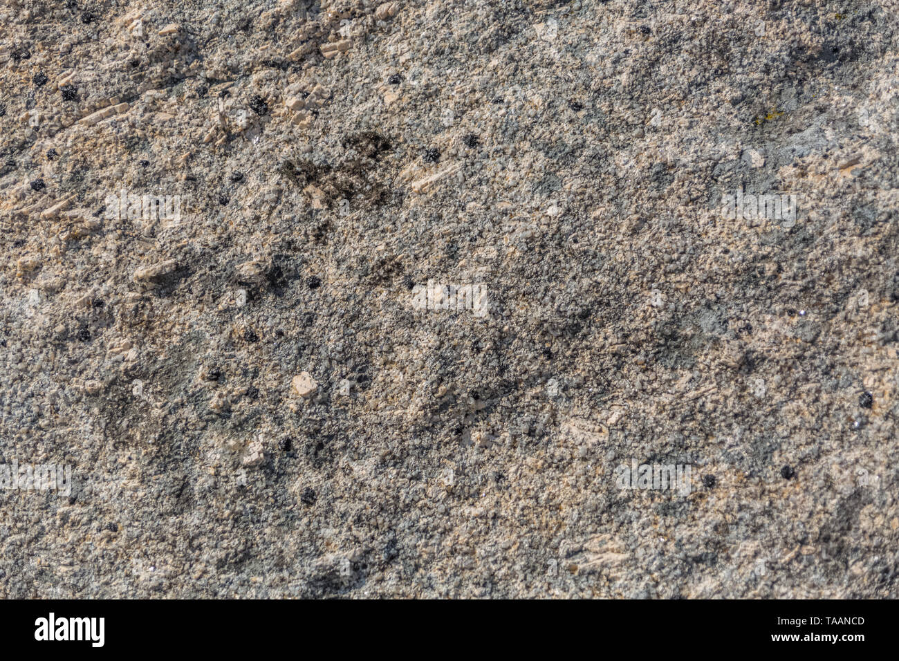 Detailed view of the typical texture of the granite stone, with detail ...