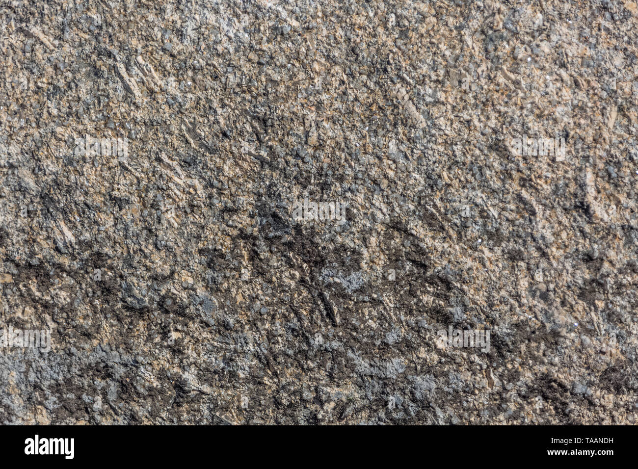 Detailed view of the typical texture of the granite stone, with detail ...
