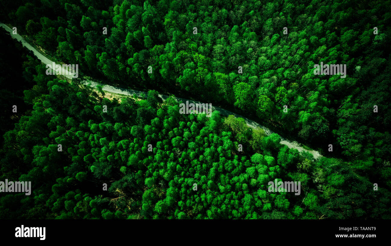 Top down aerial view dense hi-res stock photography and images - Alamy