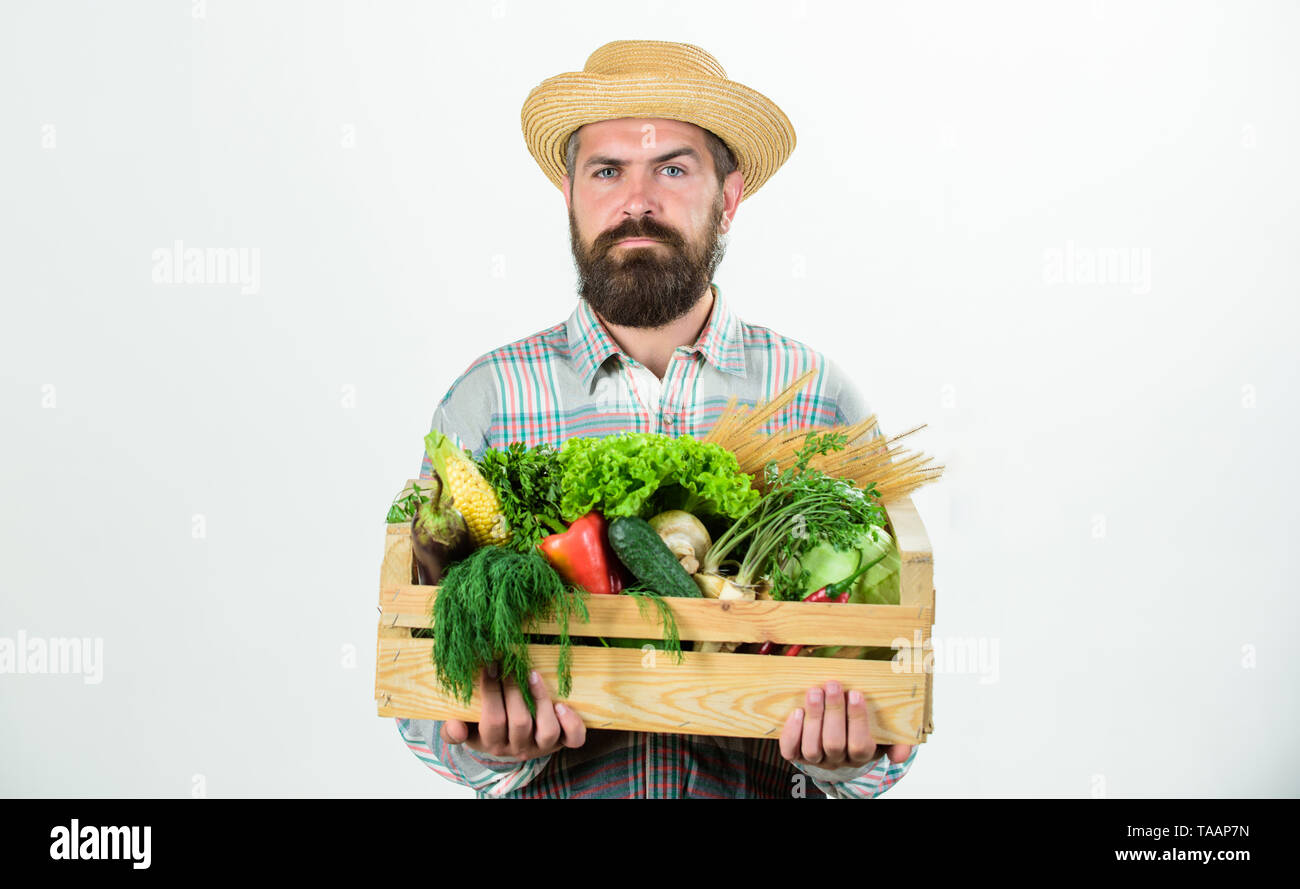 harvest festival. man chef with rich autumn crop. seasonal vitamin food ...