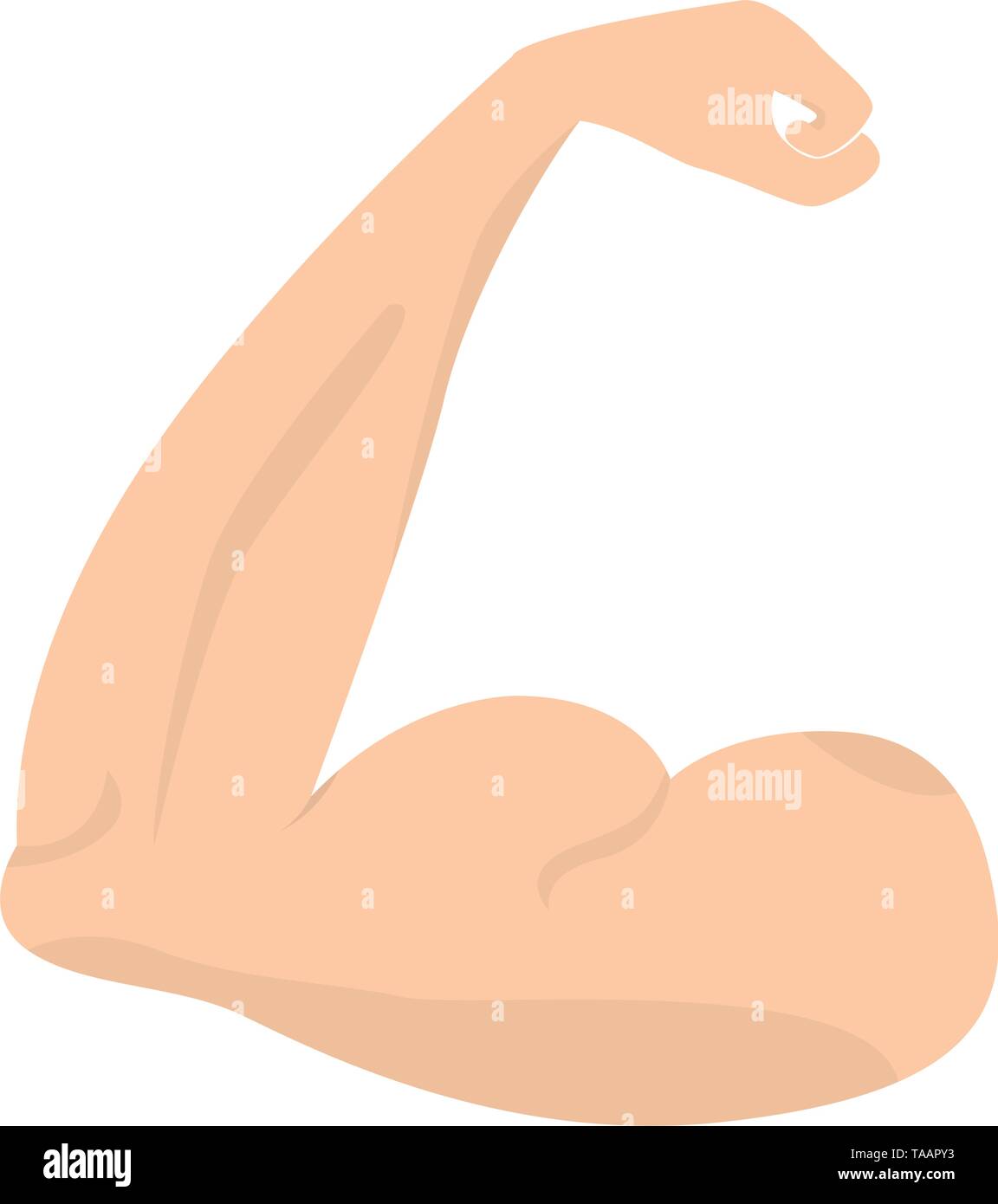 Isolated muscle arm on a white background Stock Vector Image & Art - Alamy
