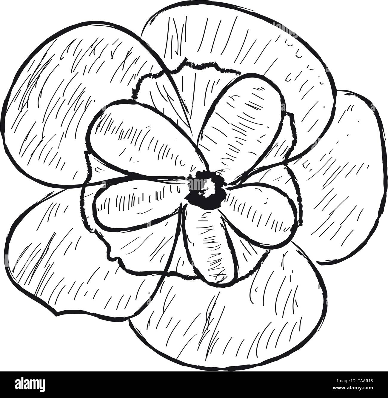 Isolated sketch of a flower on a white background Stock Vector Image ...