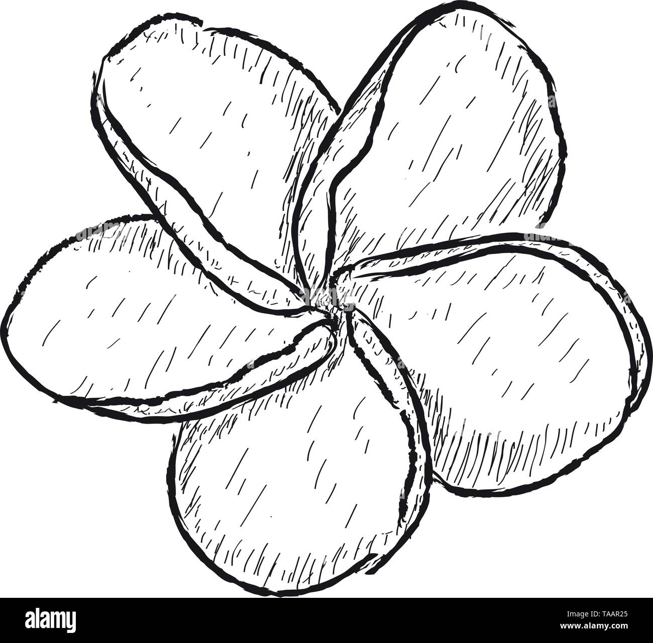 Isolated sketch of a flower on a white background Stock Vector Image ...