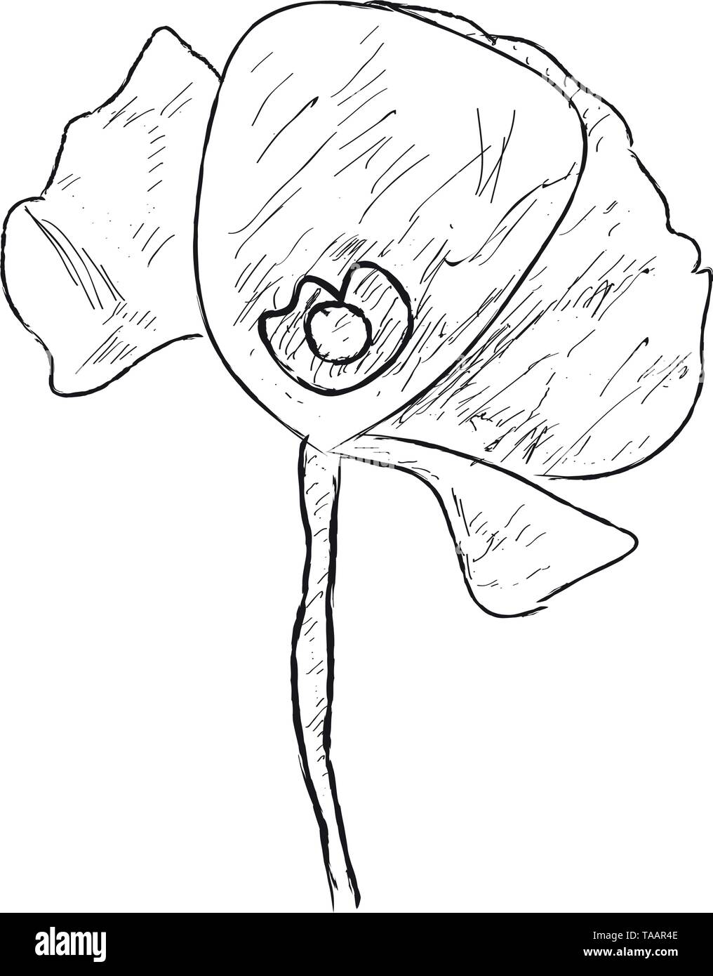 Isolated sketch of a flower on a white background Stock Vector Image ...