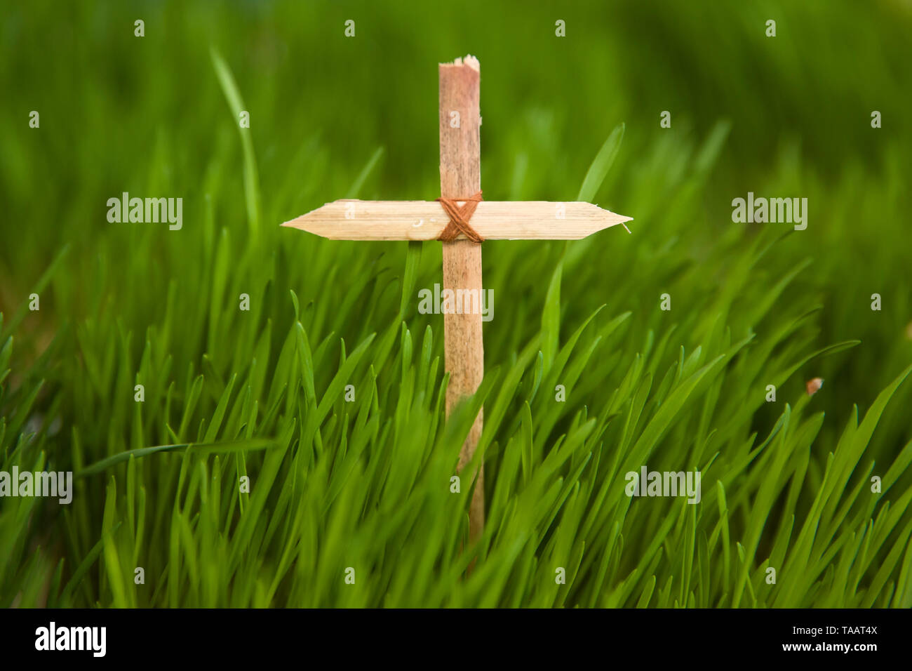 Small wooden cross in the green grass Stock Photo - Alamy